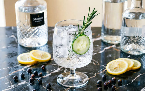 Los 10 Mejores Gins para Gin Tonic | Descorcha